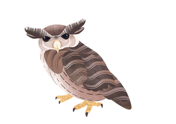 Jagat Satwa Nusantara Beluk jampuk - Jagat Satwa Nusantara