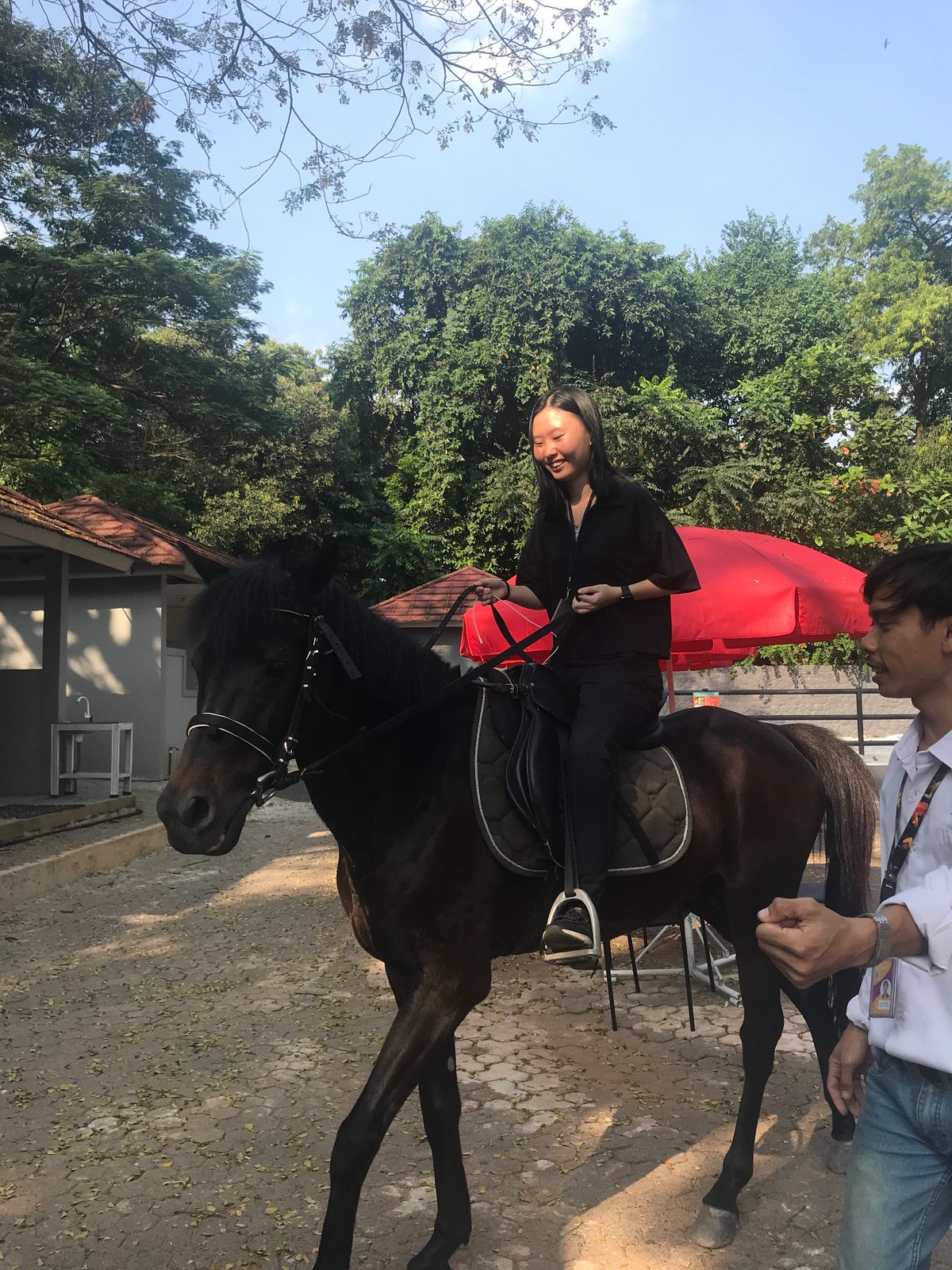 Jagat Satwa Nusantara #CERITAMAGANG AMANDA: SISWI PELITA HARAPAN ...